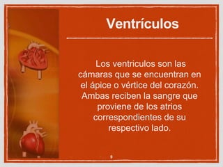 Anatomía del corazón | PPTX