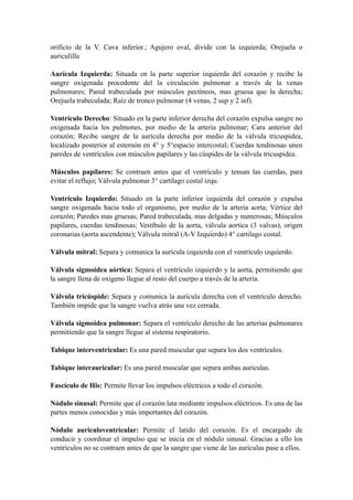 Anatomia del corazon | PDF