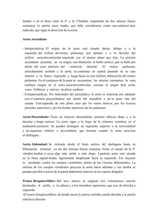 Anatomia del corazon | PDF