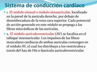 ANATOMIA del corazon y vasos arteriales coronarios | PPT