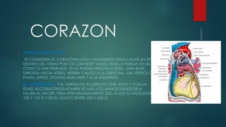 ANATOMIA DEL CORAZON configuracion externa e interna.pptx