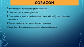 ANATOMIA DEL CORAZON GENERALIDADES.pptx enfermo | PPTX