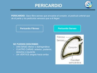 ANATOMIA DEL CORAZON Y GRANDES VASOS (1) (1).pptx