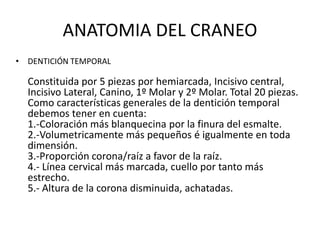 Anatomia del craneo | PPTX