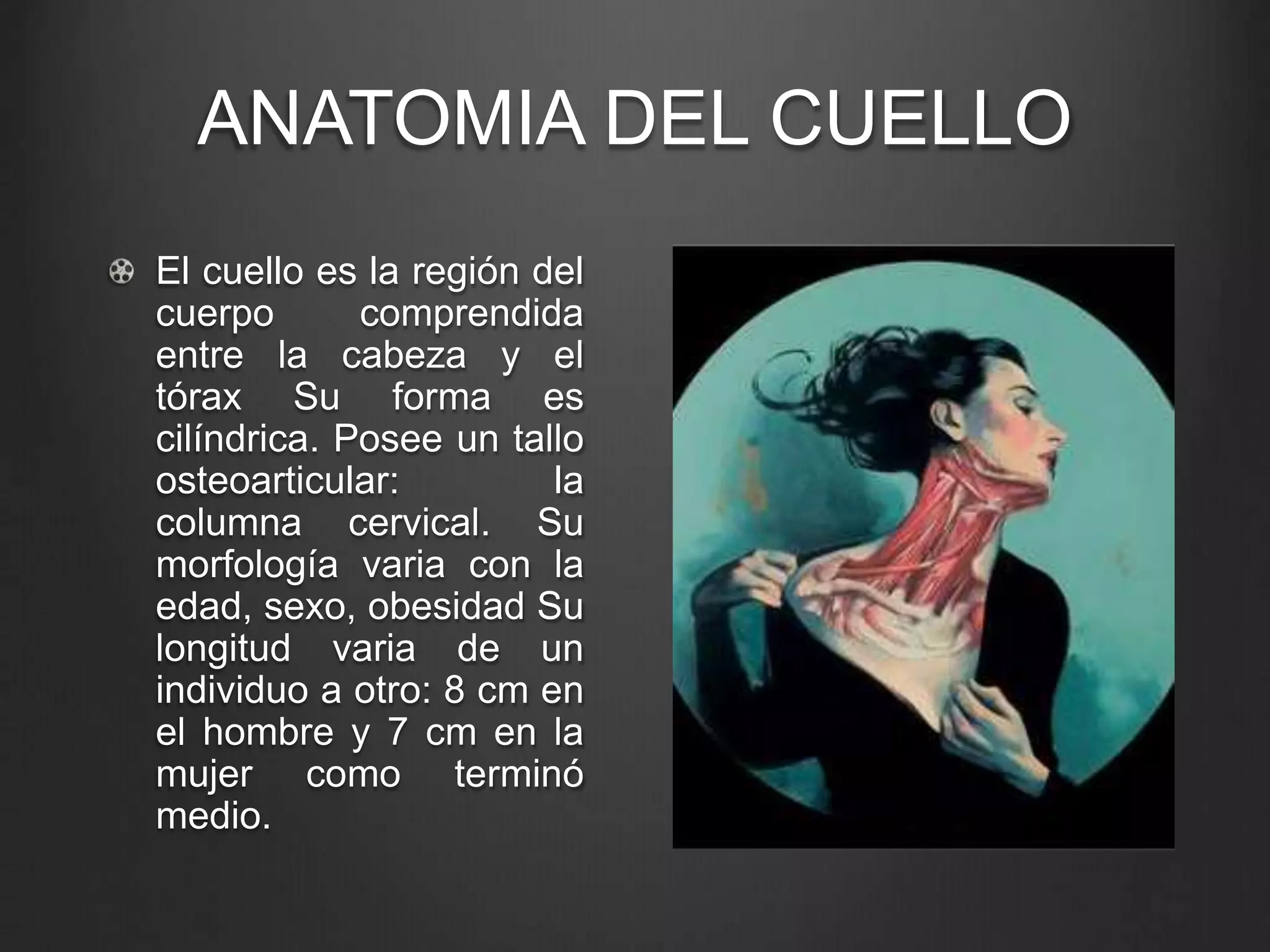 anatomia del cuello .pptx