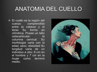 anatomia del cuello .pptx