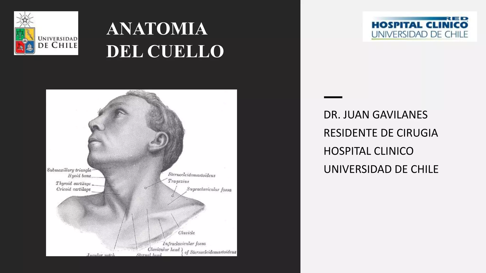 anatomia del cuello.pptx
