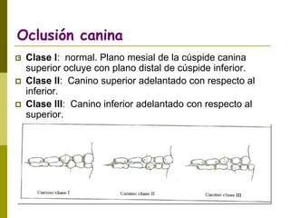 Anatomía del Diente | PPTX