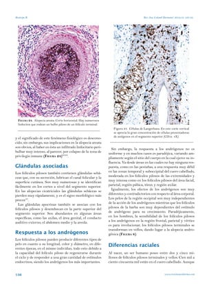 Anatomia del foliculo piloso | PDF