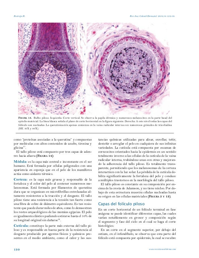 Foliculo Piloso Genital Infectado