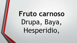 Anatomia del fruto | PPTX