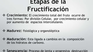 Anatomia del fruto | PPTX