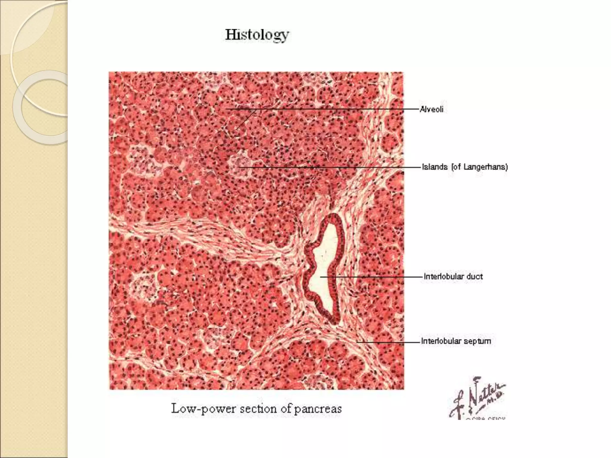 Anatomia_del_higado.ppt