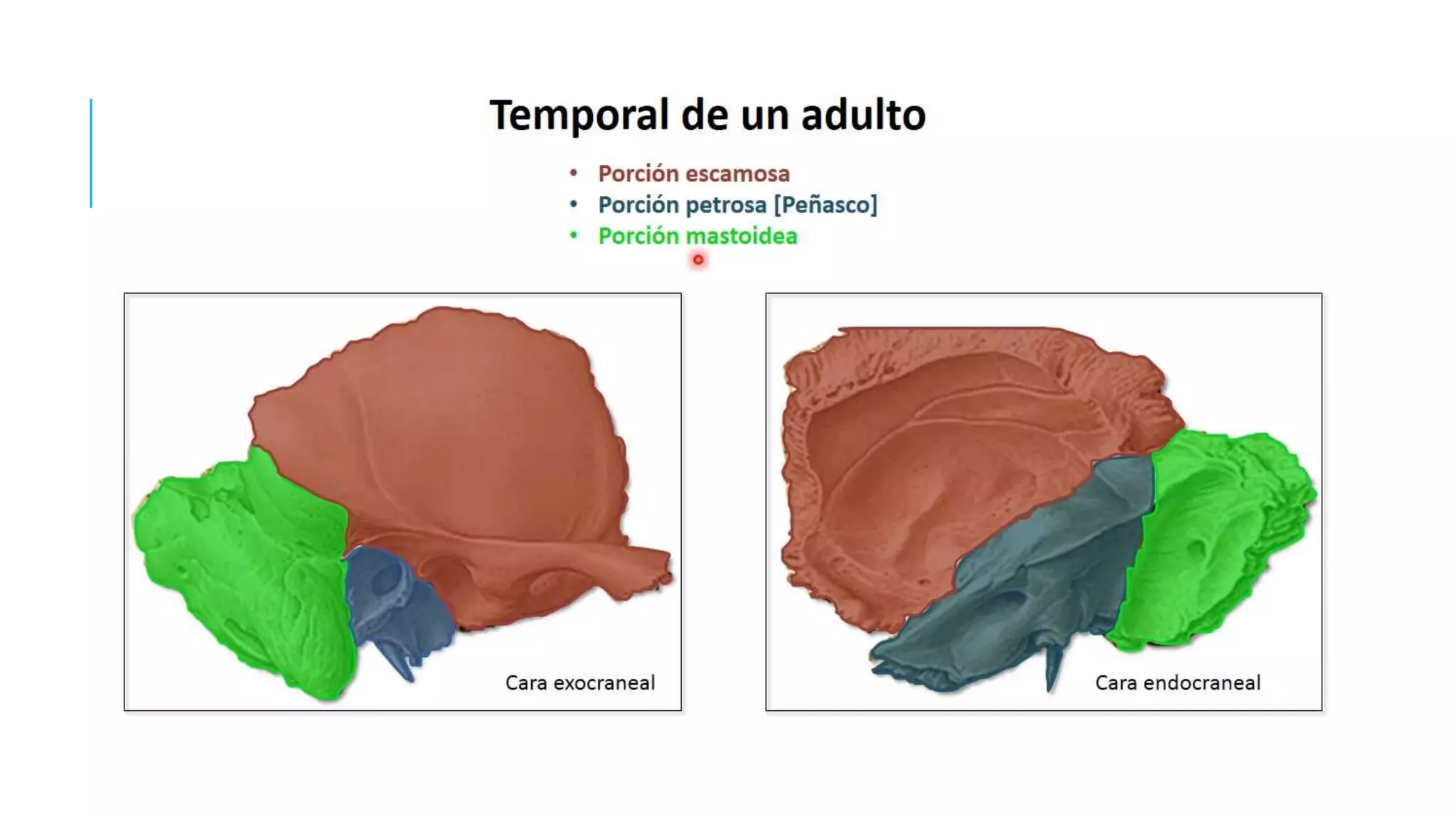 ANATOMIA DEL HUESO MASTOIDEO.pptx