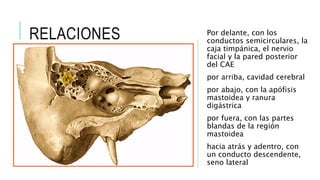 ANATOMIA DEL HUESO MASTOIDEO.pptx