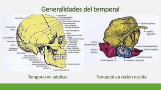 ANATOMIA DEL HUESO TEMPORAL SLIDE. .pptx