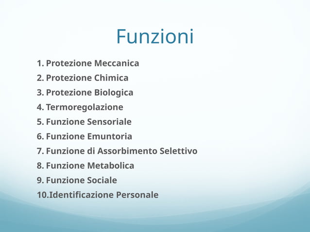 Anatomia della cute e degli annessi cutanei.pptx | Skin and Dermatology ...