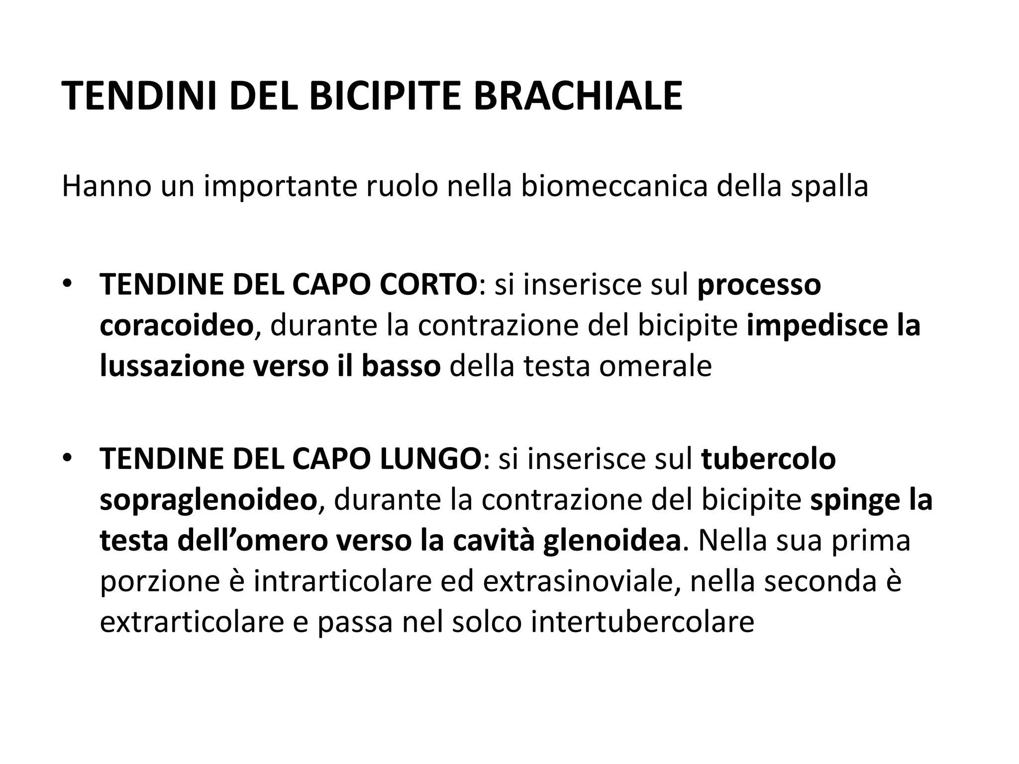 Anatomia e cenni di biomeccanica della spalla | PPTX