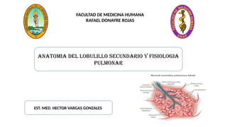 anatomia funcionamiento del lobuilillo secundario.pptx