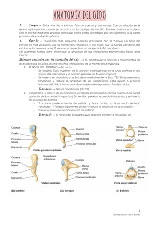 Anatomía del óido .pdf