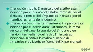 anatomia del oido modulo de otología - ORL | PPTX