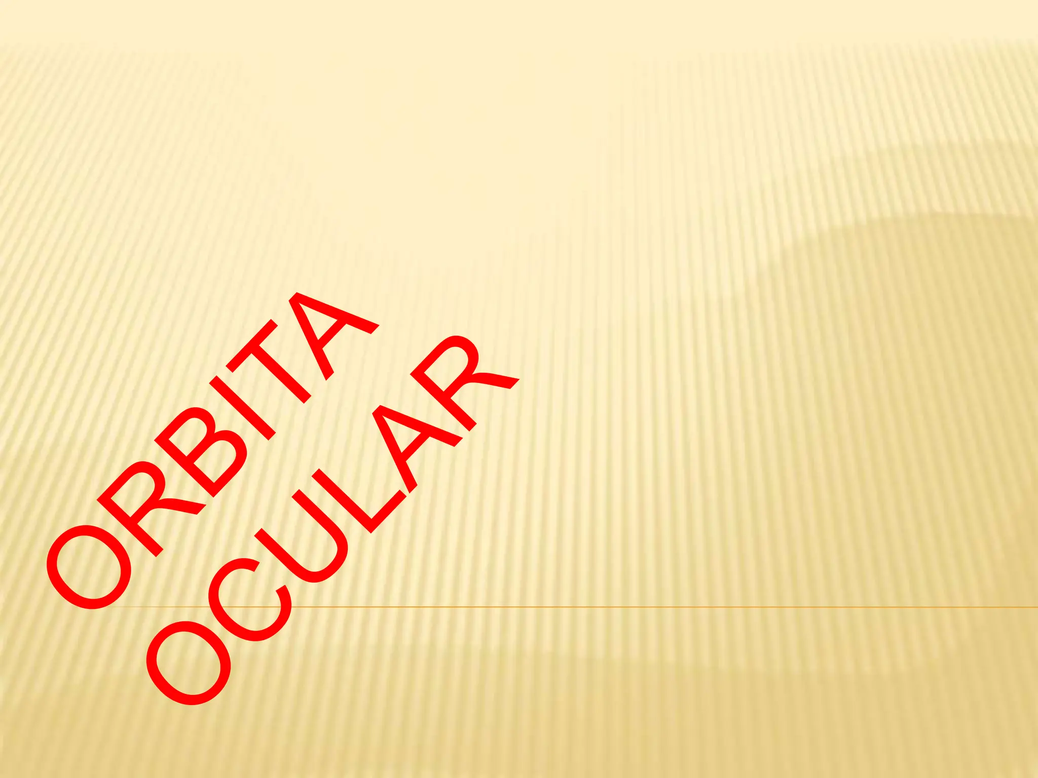 ANATOMIA DEL OJO, ÓRBITA OCULAR.....pptx