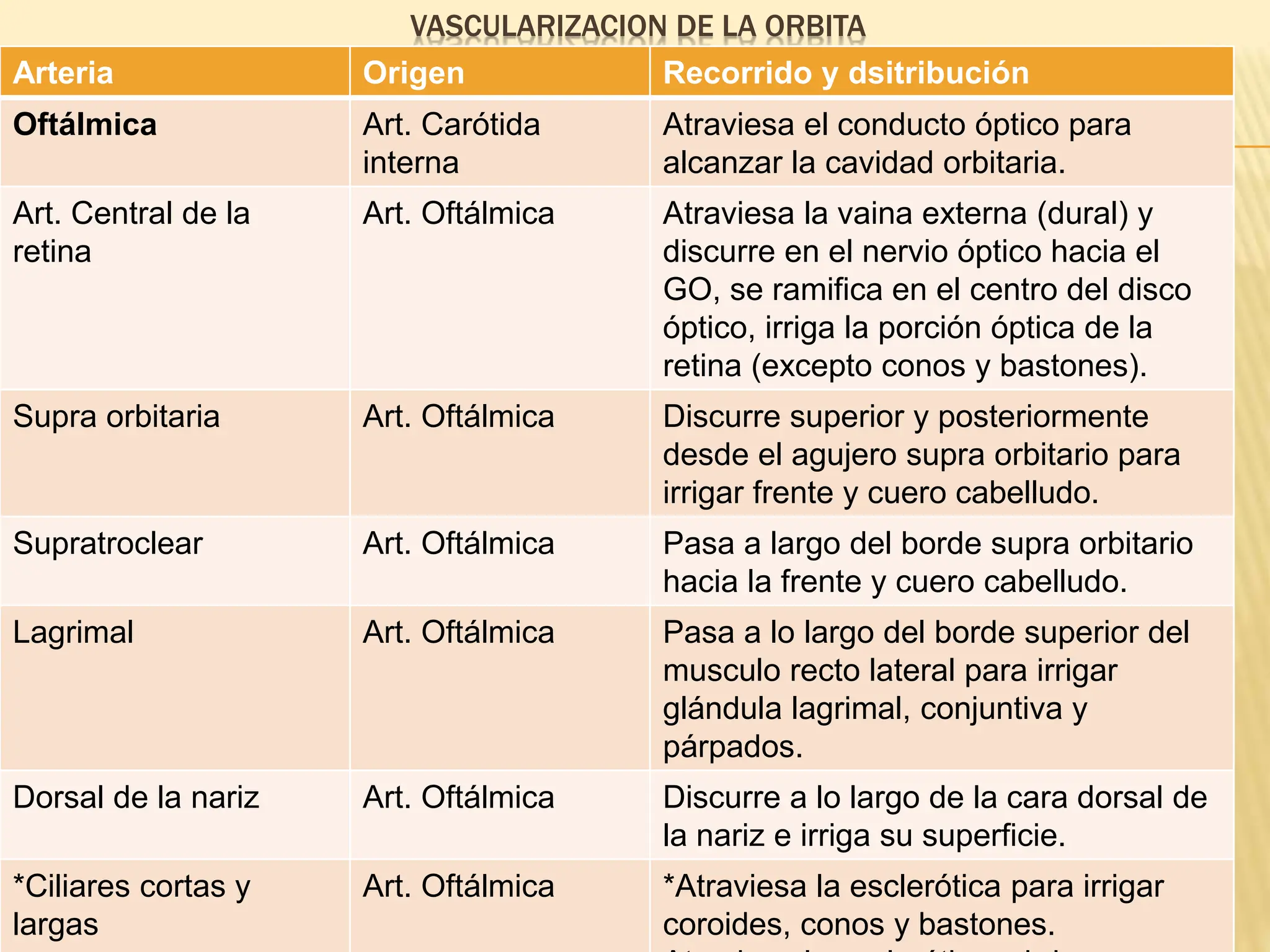 ANATOMIA DEL OJO, ÓRBITA OCULAR.....pptx