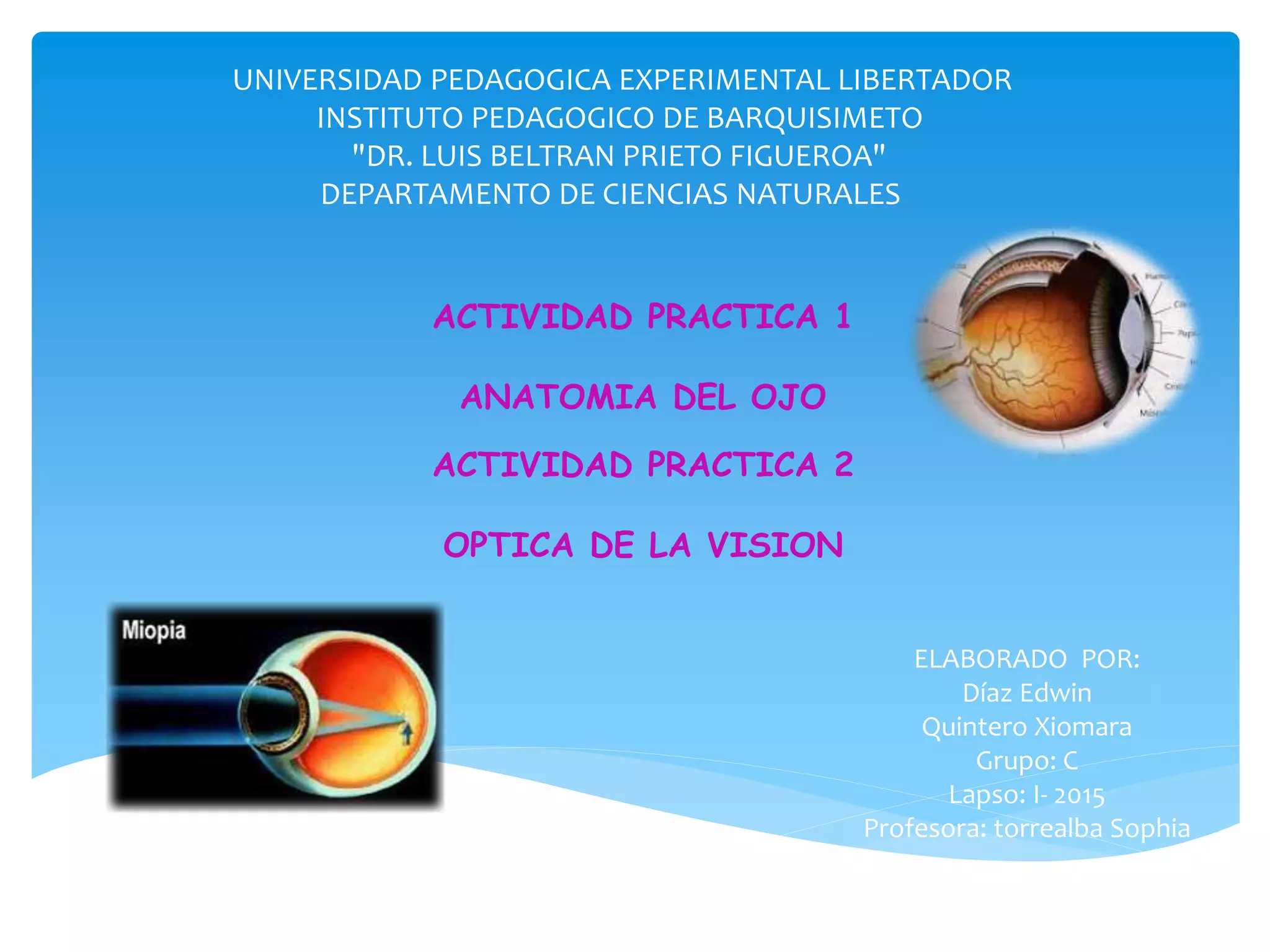 Anatomia del ojo, optica de la vision | PPT