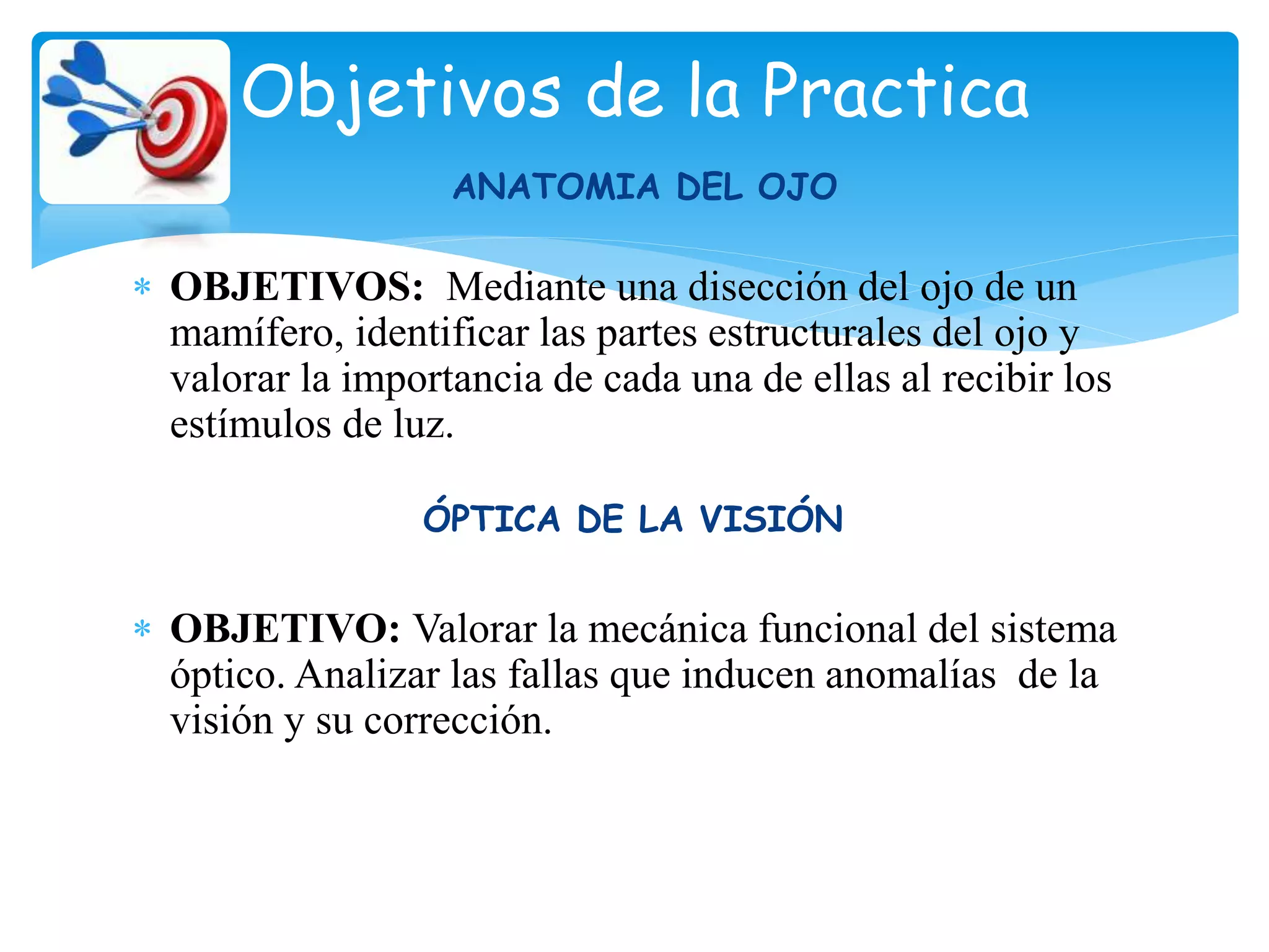 Anatomia del ojo, optica de la vision | PPT