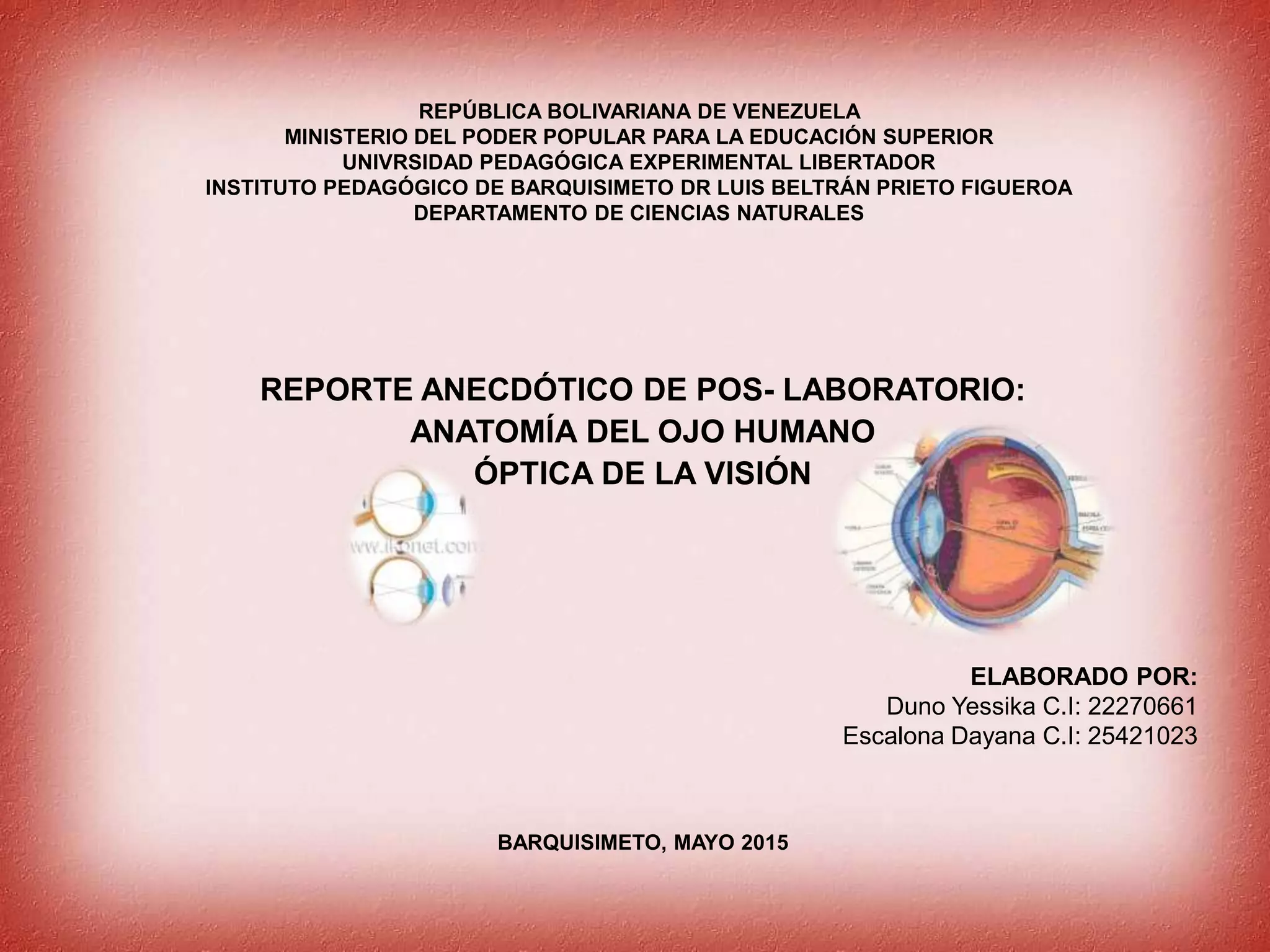 Anatomia del ojo y optica de la vision | PPTX | Eye and Vision ...