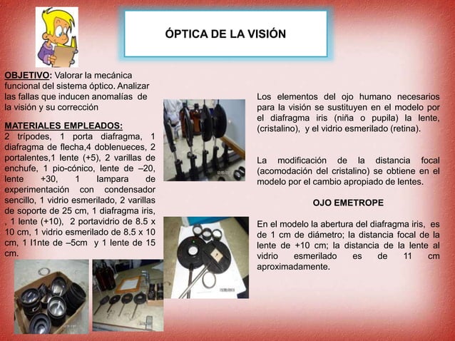 Anatomia del ojo y optica de la vision | PPTX | Eye and Vision ...