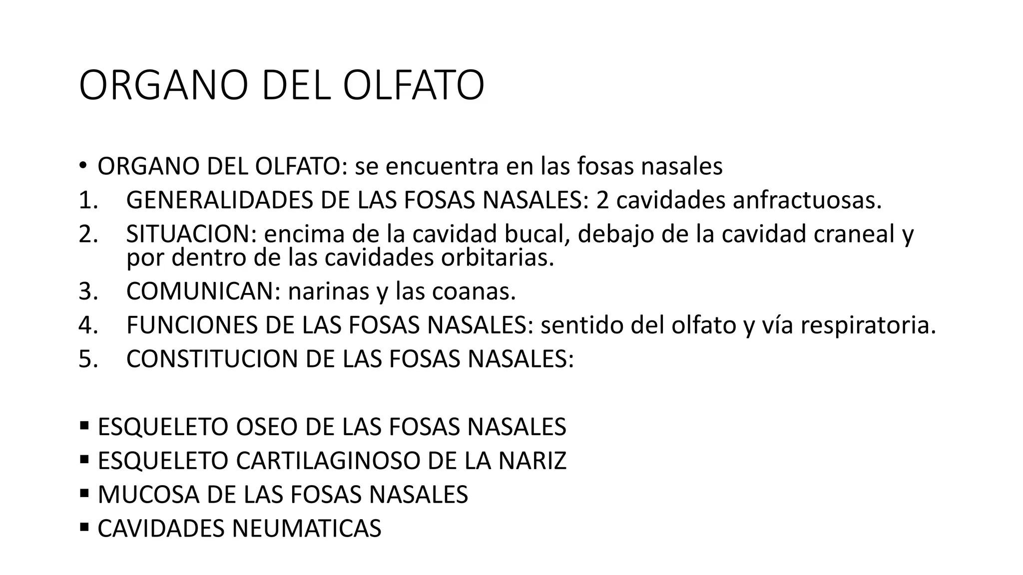 ANATOMIA DEL ORGANO DEL OLFATO.......... | PDF