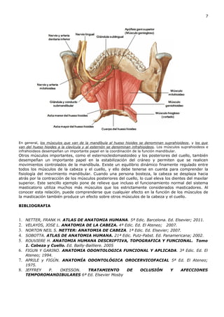 ANATOMIA DE LOS MUSCULOS MASTICADORES | DOC