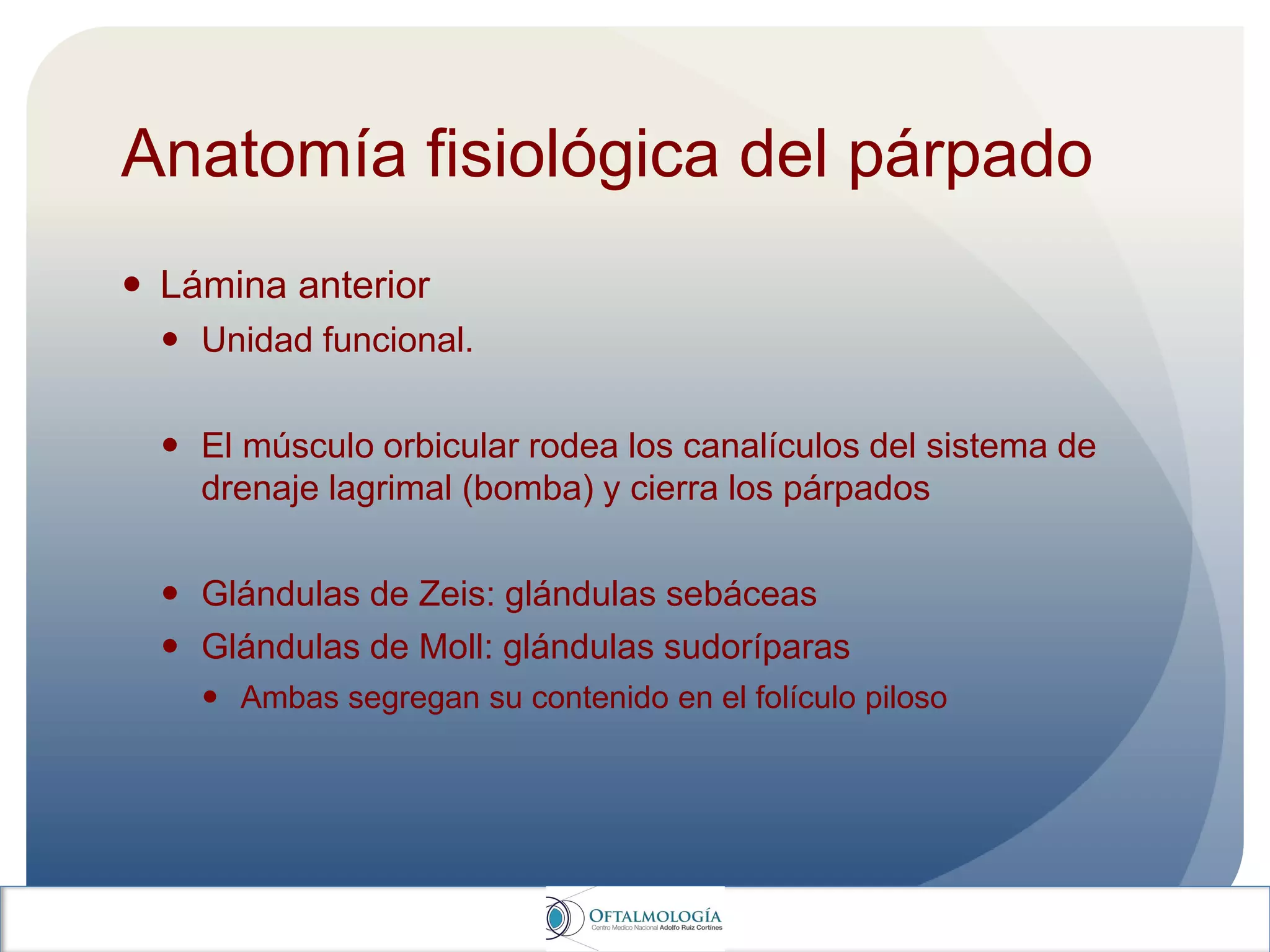 Anatomia del parpado | PPTX