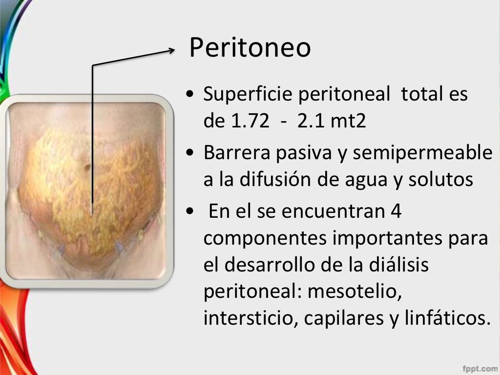 Anatomia del peritoneo