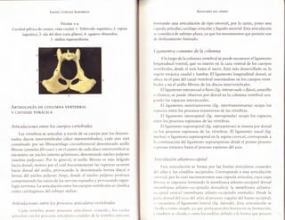 Anatomia del perro | PDF