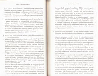 Anatomia del perro | PDF