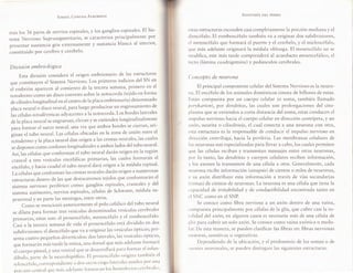 Anatomia del perro | PDF