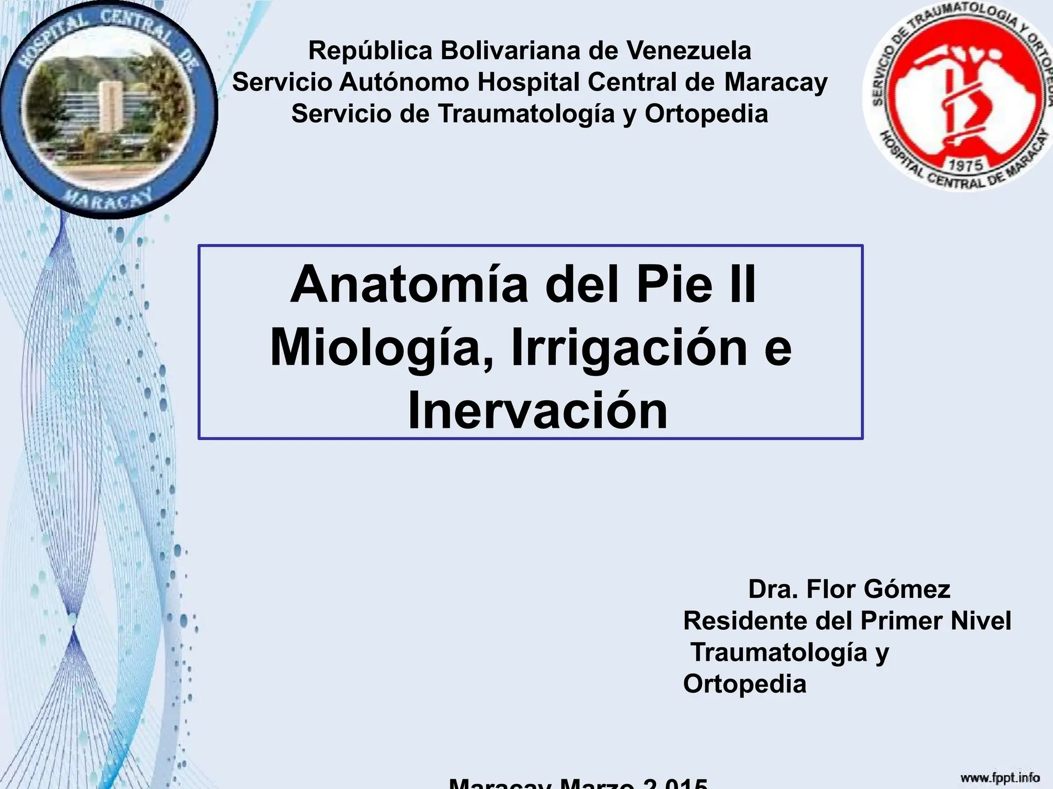 anatomia del pie.pptx PRESENTACION ANATOMIA | PPTX