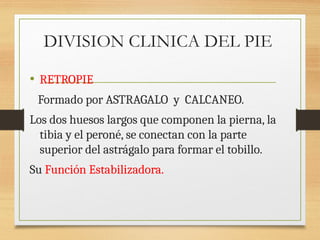 PODOLOGIA Y ANATOMIA DEL PIE- HUESOS.pptx