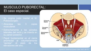 ANATOMIA DEL PISO PÉLVICO - ROLANDO.pptx