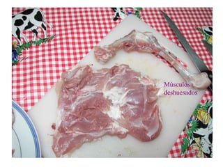 Anatomia del pollo | ODP