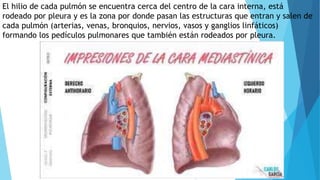 ANATOMIA DEL PULMON.pptx