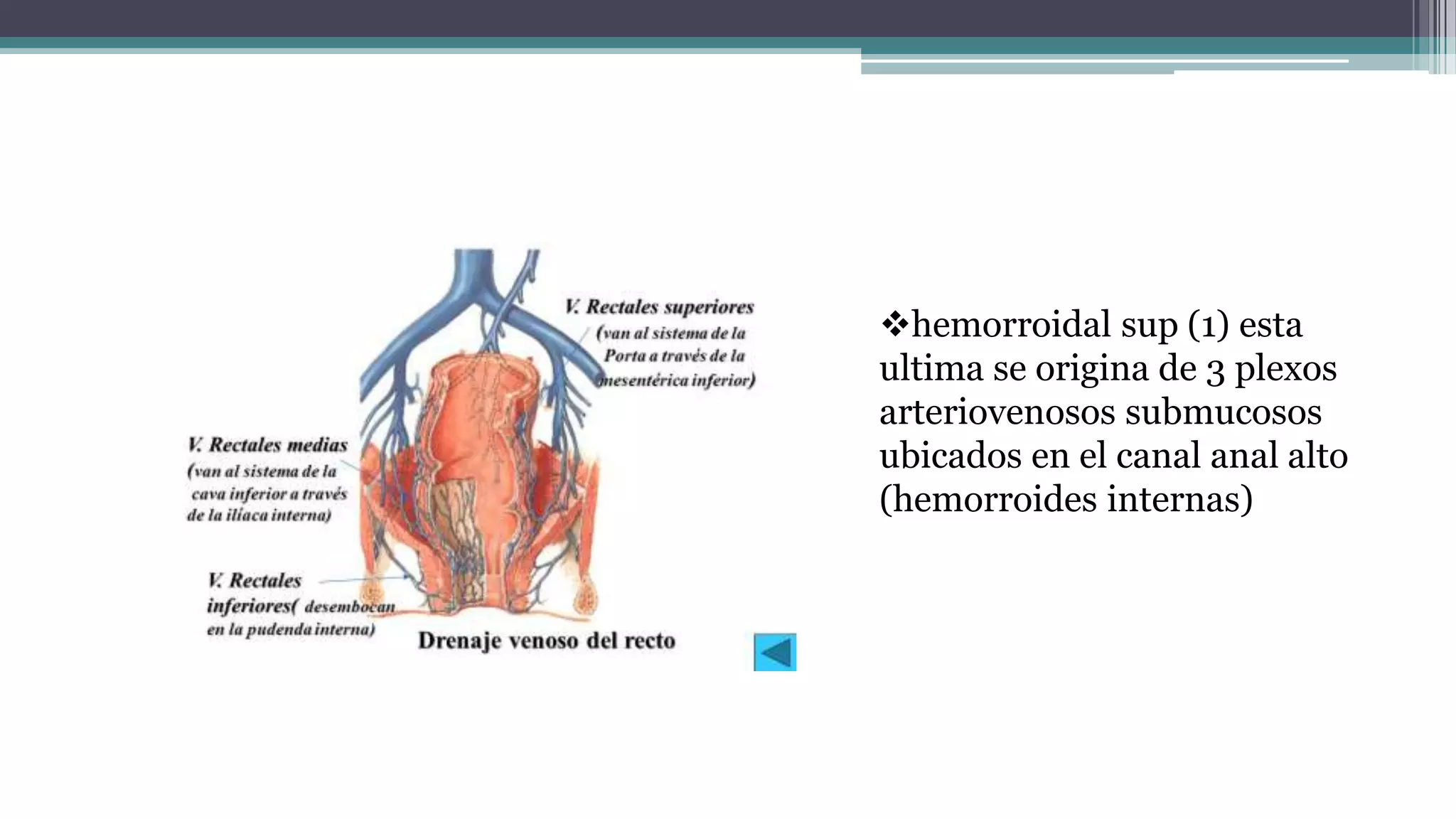ANATOMIA DEL RECTO val.pptx