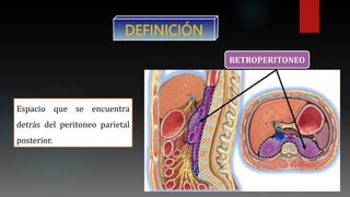 anatomia del retroperitoneo del abdomen.pptx