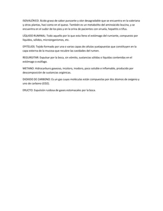 Anatomia del rumen | DOCX