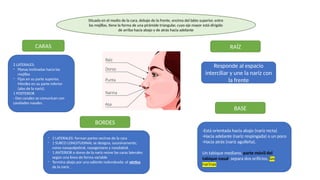 ANATOMIA DEL SISTEMA RESPIRATORIO SEMANA 3.pptx