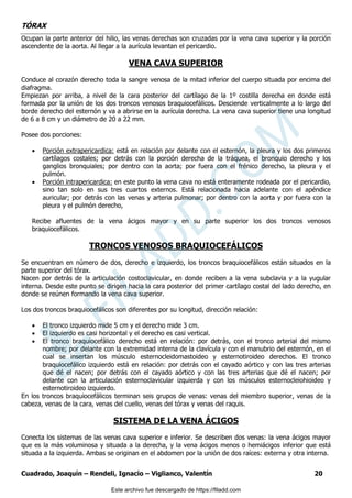 ANATOMIA DEL TORAX 3.pdf