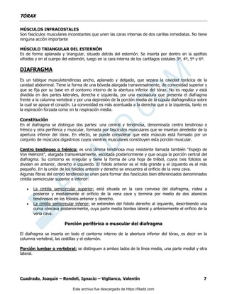 ANATOMIA DEL TORAX 3.pdf