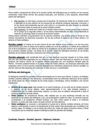 ANATOMIA DEL TORAX 3.pdf